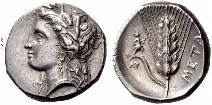 stater of Metapontion, 325-280 BC