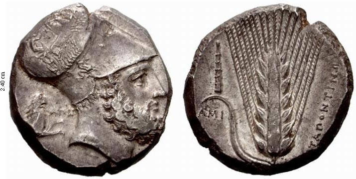 dinomos/distater of Metapontion, 320-300 BC ca