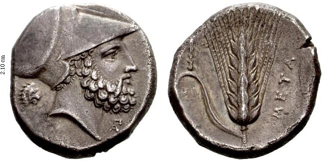 stater of Metapontion, 330-325 BC