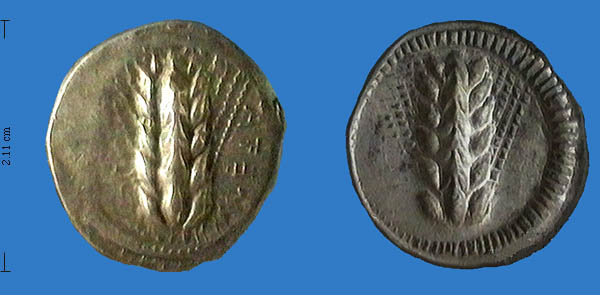 stater of Metapontion, 475/470-440 BC