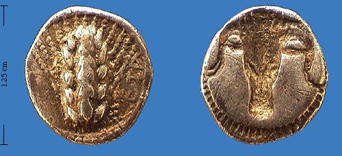 diobol of Metapontion, 475/470-440 BC