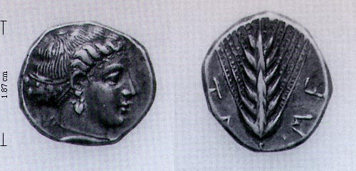 nomos/stater of Metapontion, 400-340 BC ca